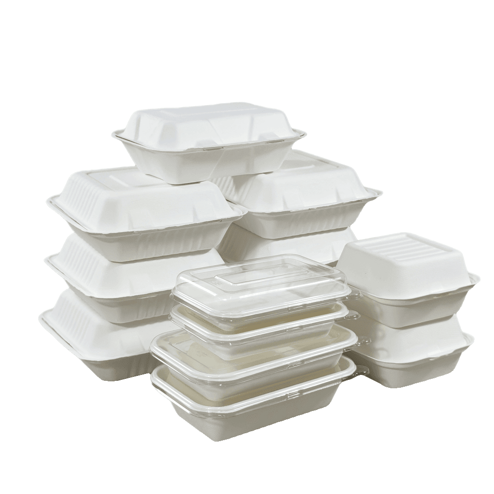 Sugarcane Bagasse Food Containers – Eco-Friendly | Biodegradable ...