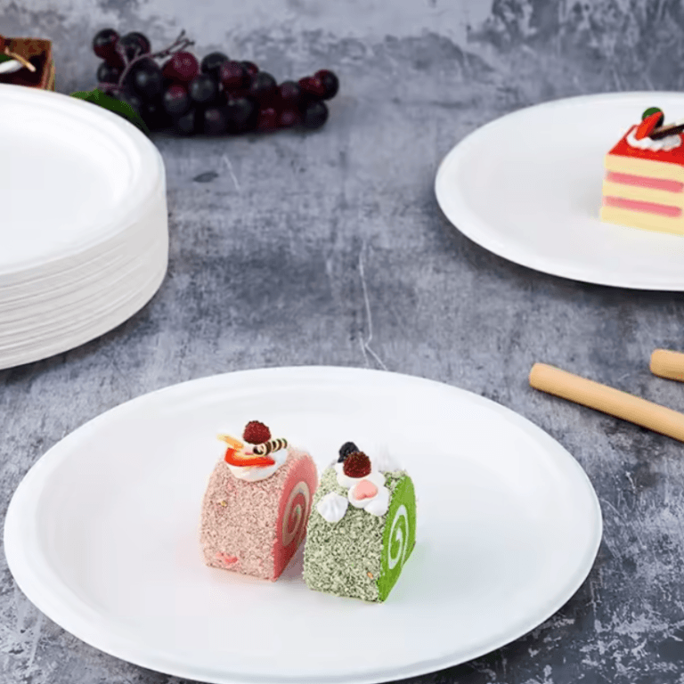GUIDE TO STANDARD SIZE DISPOSABLE PAPER PLATE IN INCHES & CM