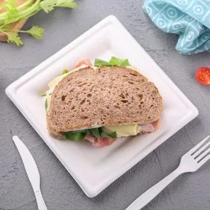 GUIDE TO STANDARD SIZE DISPOSABLE PAPER PLATE IN INCHES & CM