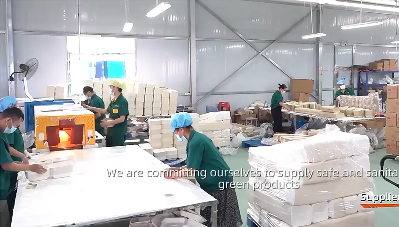 What Is Pulp Molding Process Of Molded Pulp Packaging?