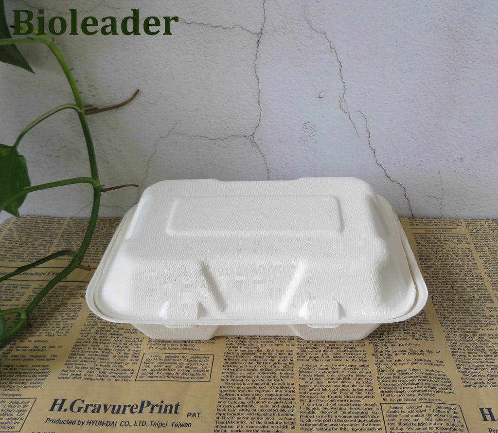 Eco Friendly Compostable Takeaway Food Containers | Bioleader ...