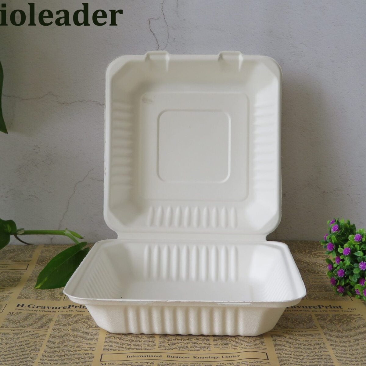 Eco Friendly Biodegradable Food Packaging for Takeaway | Bioleader ...