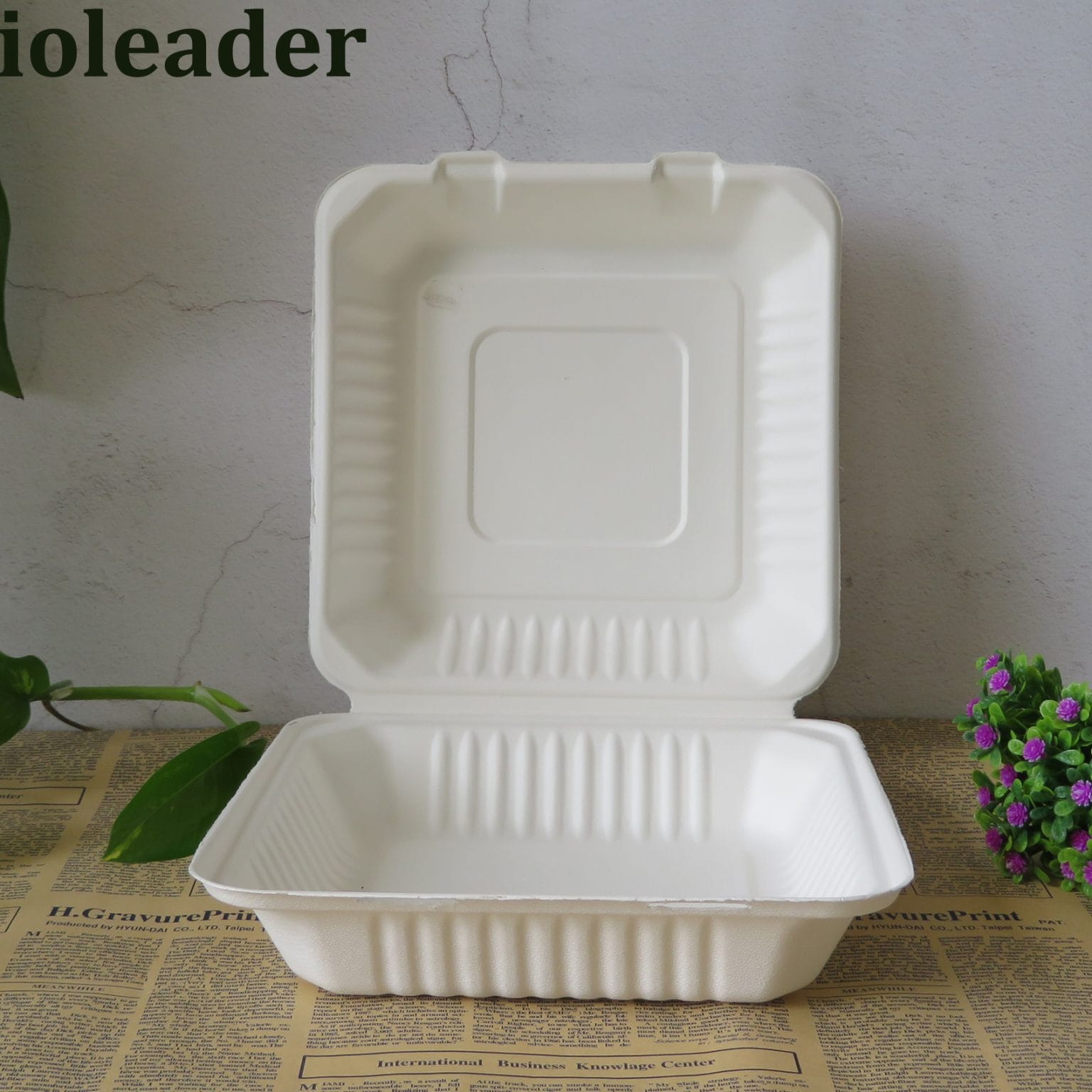 Eco Friendly Biodegradable Food Packaging for Takeaway | Bioleader ...