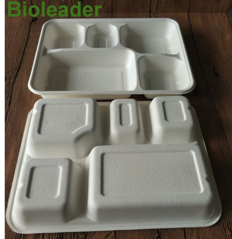 100% Compostable 5 Compartment Tray With Lid Disposable School Lunch ...