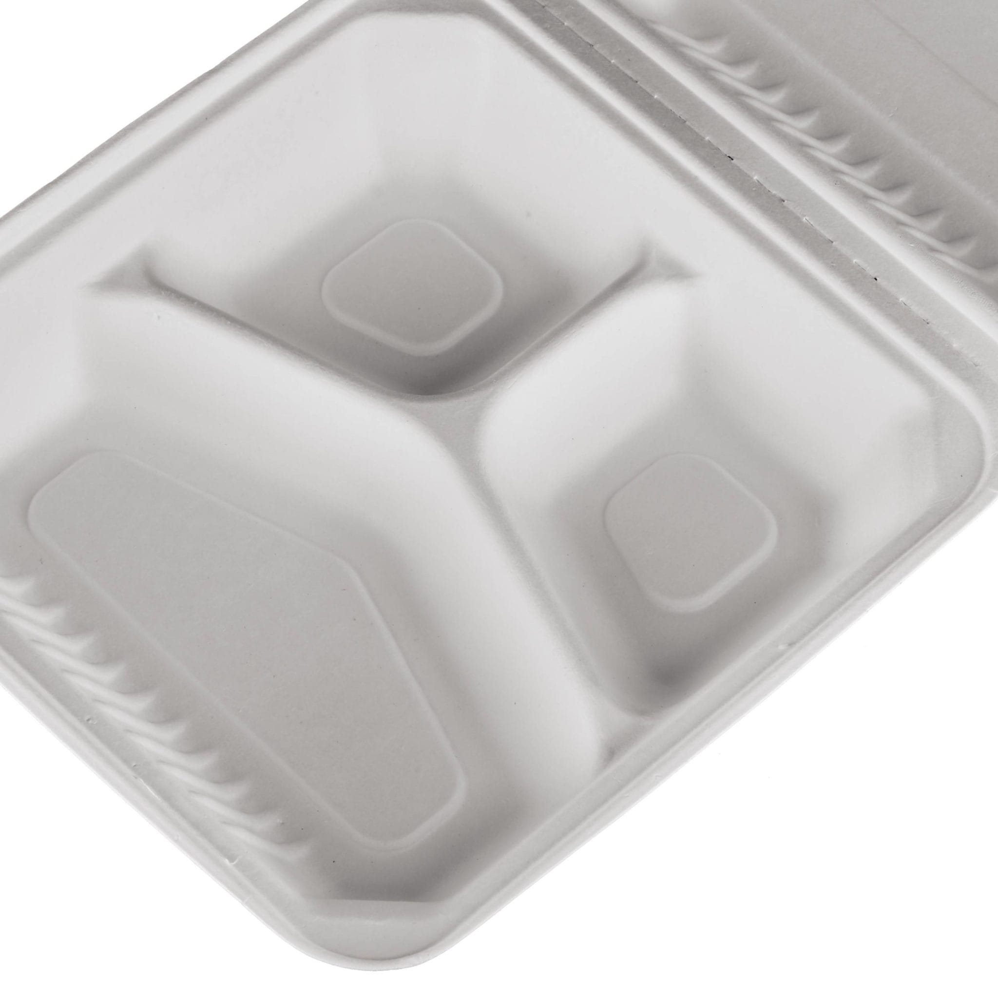 Environmentally Friendly Biodegradable Lunch Containers | Bioleader ...