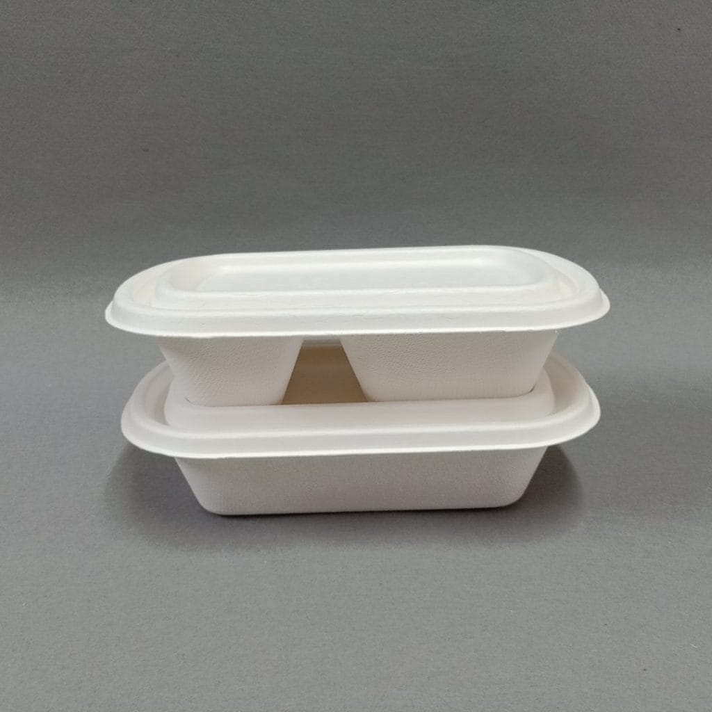 2 Compartment Disposable Lunch Boxes