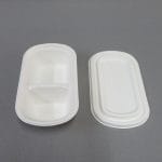 2 Compartment Disposable Lunch Boxes