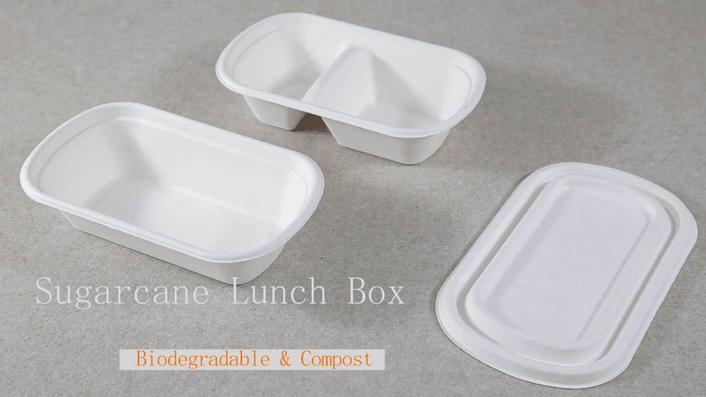 2 Compartment Disposable Lunch Boxes | Bioleader® Biodegradable Tableware