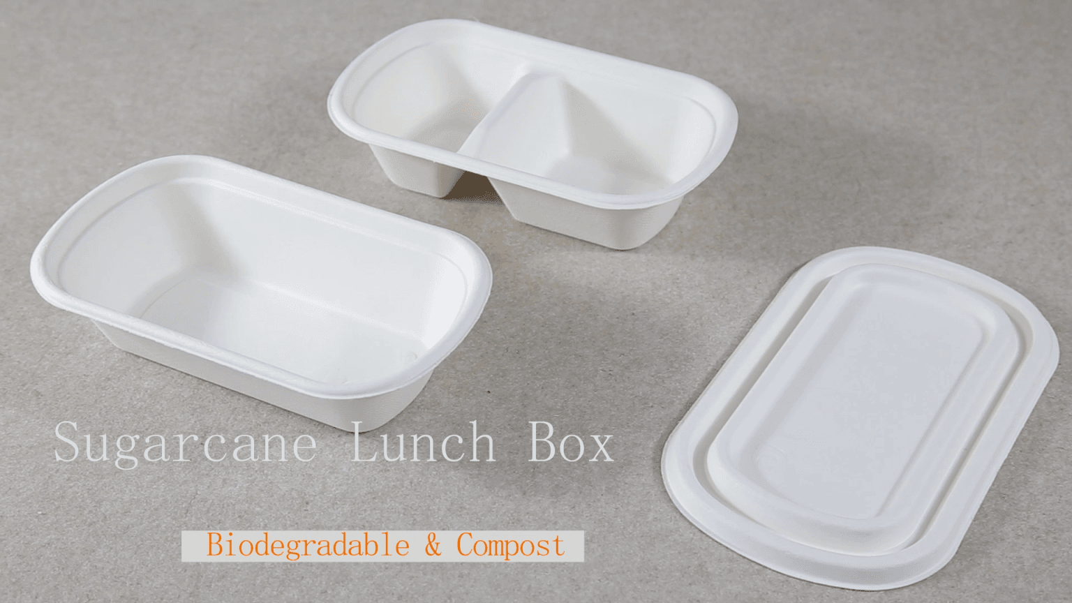 2 Compartment Disposable Lunch Boxes | Bioleader® Biodegradable Tableware