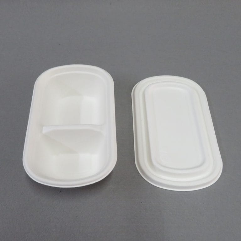 2 Compartment Disposable Lunch Boxes