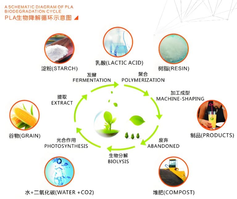 PLA Compostable Clear Cups For Cold | Bioleader® Biodegradable Tableware