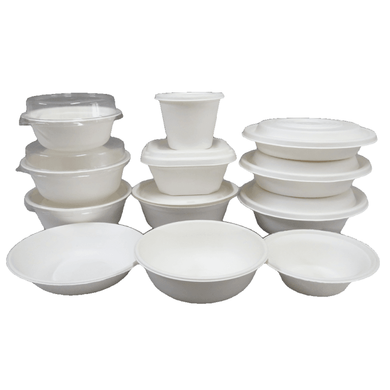Biodegradable Tableware Food Container Packaging | Bioleader®
