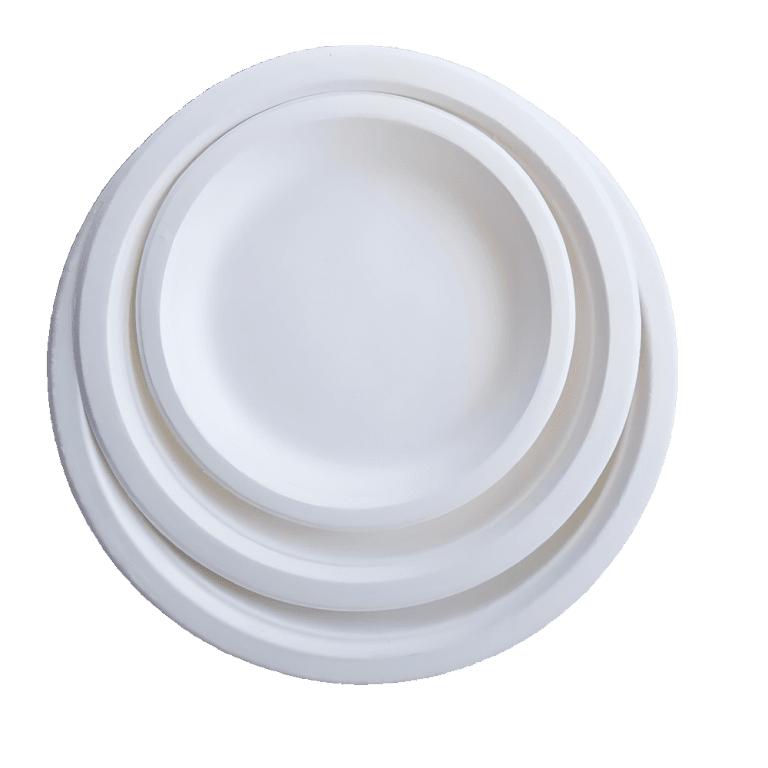 Compostable Plates Description | Bioleader® Biodegradable Tableware