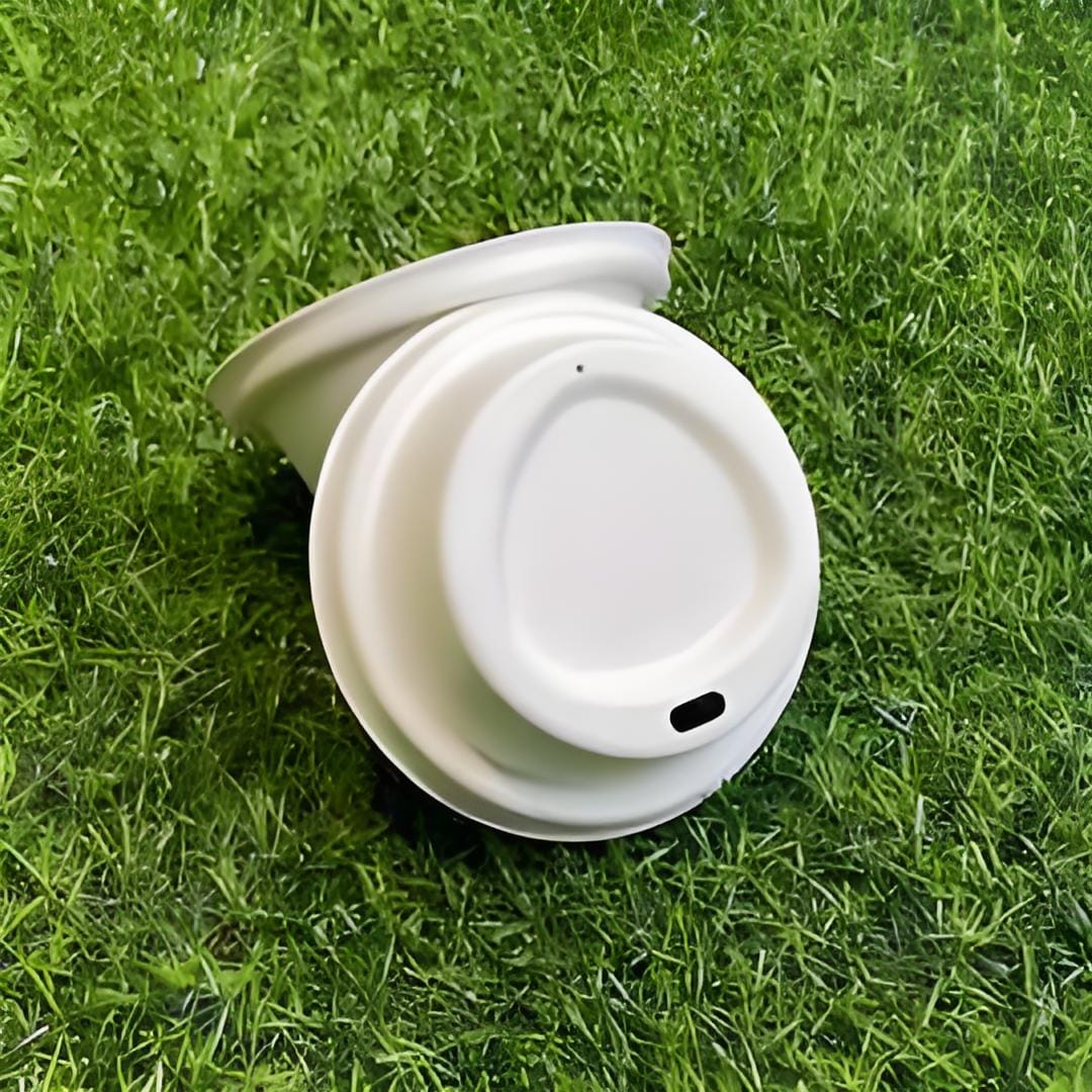 Sugarcane Products: A Comprehensive Look At Their Rise In Sustainable ...