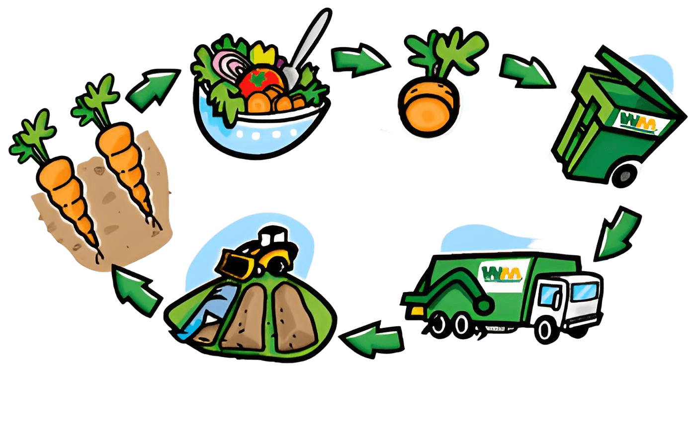 How Long Does It Take For Disposable Food Containers To Decompose?