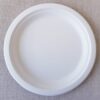 GUIDE TO STANDARD SIZE DISPOSABLE PAPER PLATE IN INCHES & CM