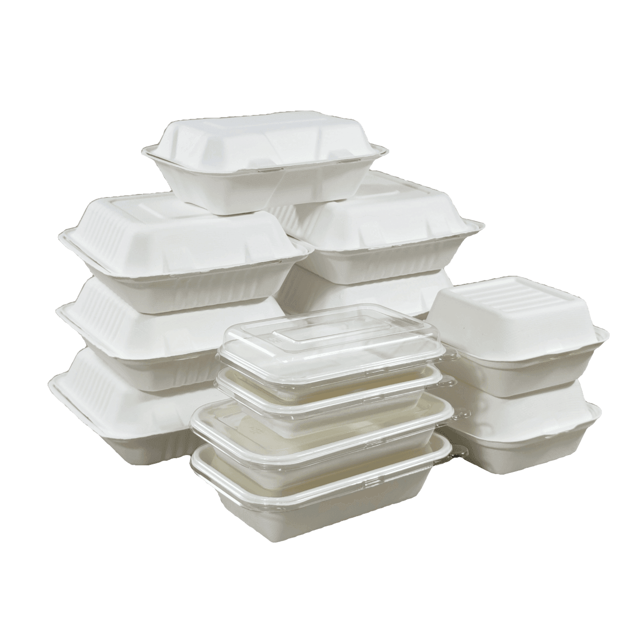 Biodegradable Tableware Food Container Packaging | Bioleader®