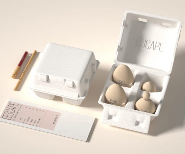 Comprehensive Guide To Clamshell Packaging In Sustainable Food Packaging