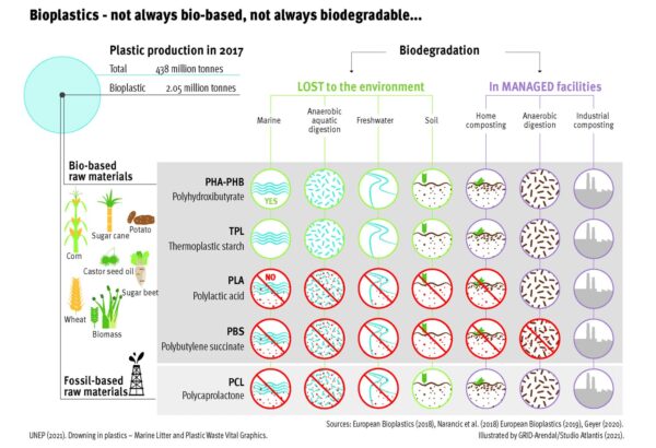 Bioplastic vs. Traditional Plastic: Which Path Leads to a Sustainable ...