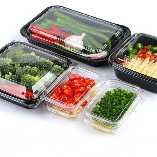 Comprehensive Guide To Clamshell Packaging In Sustainable Food Packaging