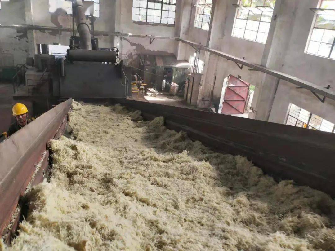 What Is Bagasse And Bagasse Used For?