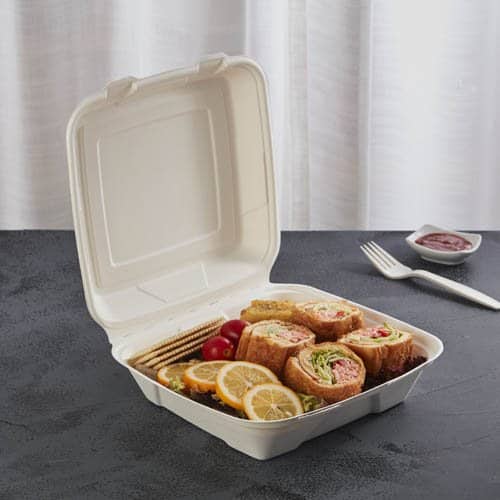 Top 10 Popular Biodegradable Food Containers For Takeaway Food Packaging