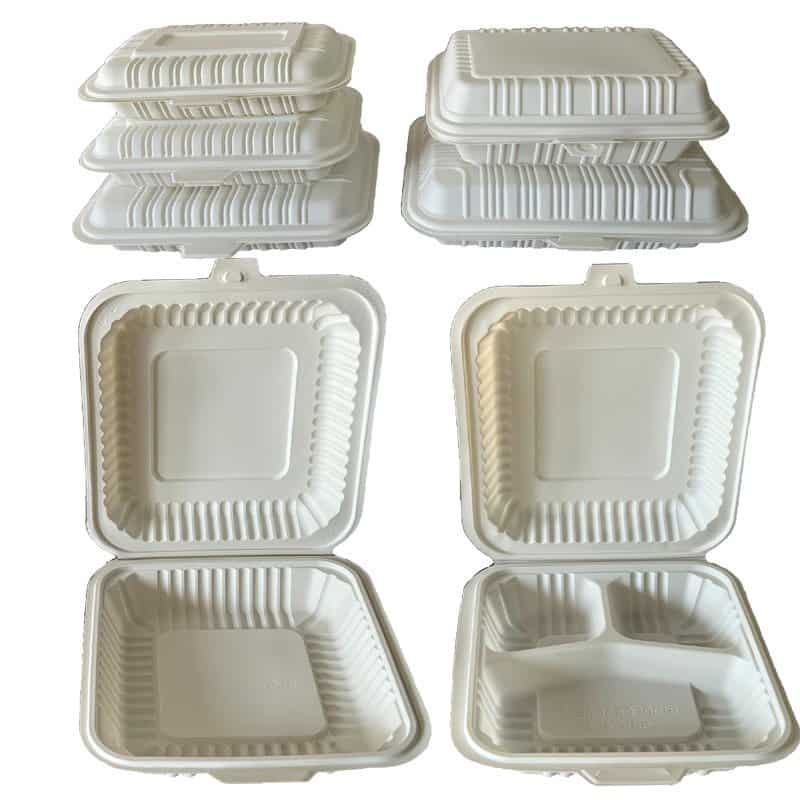 Top 10 Popular Biodegradable Food Containers For Takeaway Food Packaging