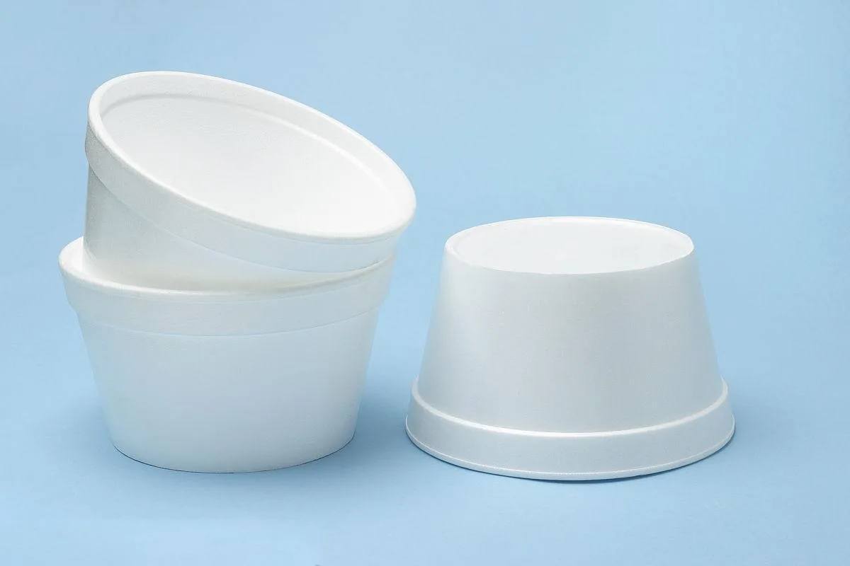 Top 8 Best Disposable Bowls for Hot Soup – Durable, Leak-Proof & Eco ...