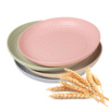 Eco-Friendly Wheat Straw Plates – Biodegradable & BPA-Free Dinnerware