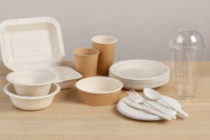The Definitive HS Codes for Biodegradable Tableware (2025-2026 Exporter ...