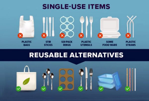 The Definitive HS Codes for Biodegradable Tableware (2025-2026 Exporter ...